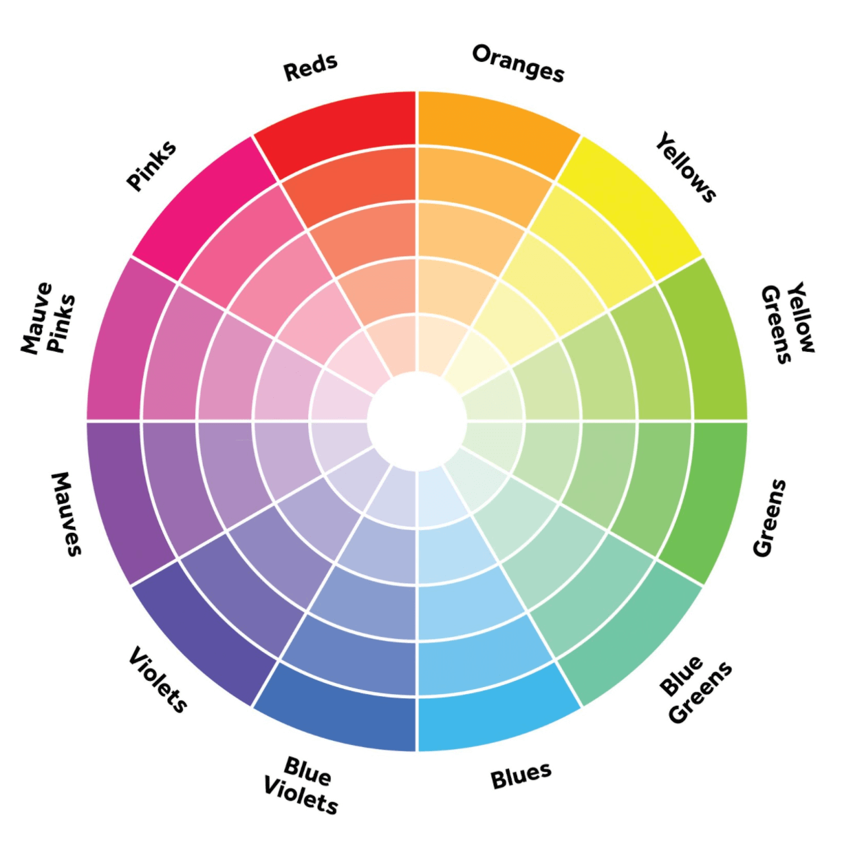 The launch of Terrælino | Nexion